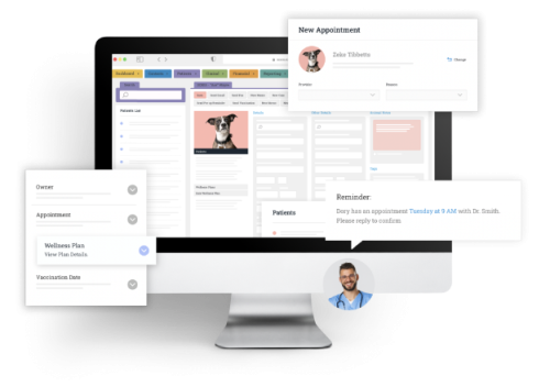 Cloud Based Practice Management Software | IDEXX Veterinary Software